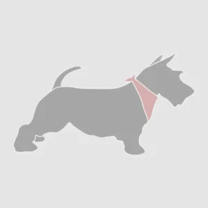 Employee & Faculty Directory: Thomas College: Waterville, ME